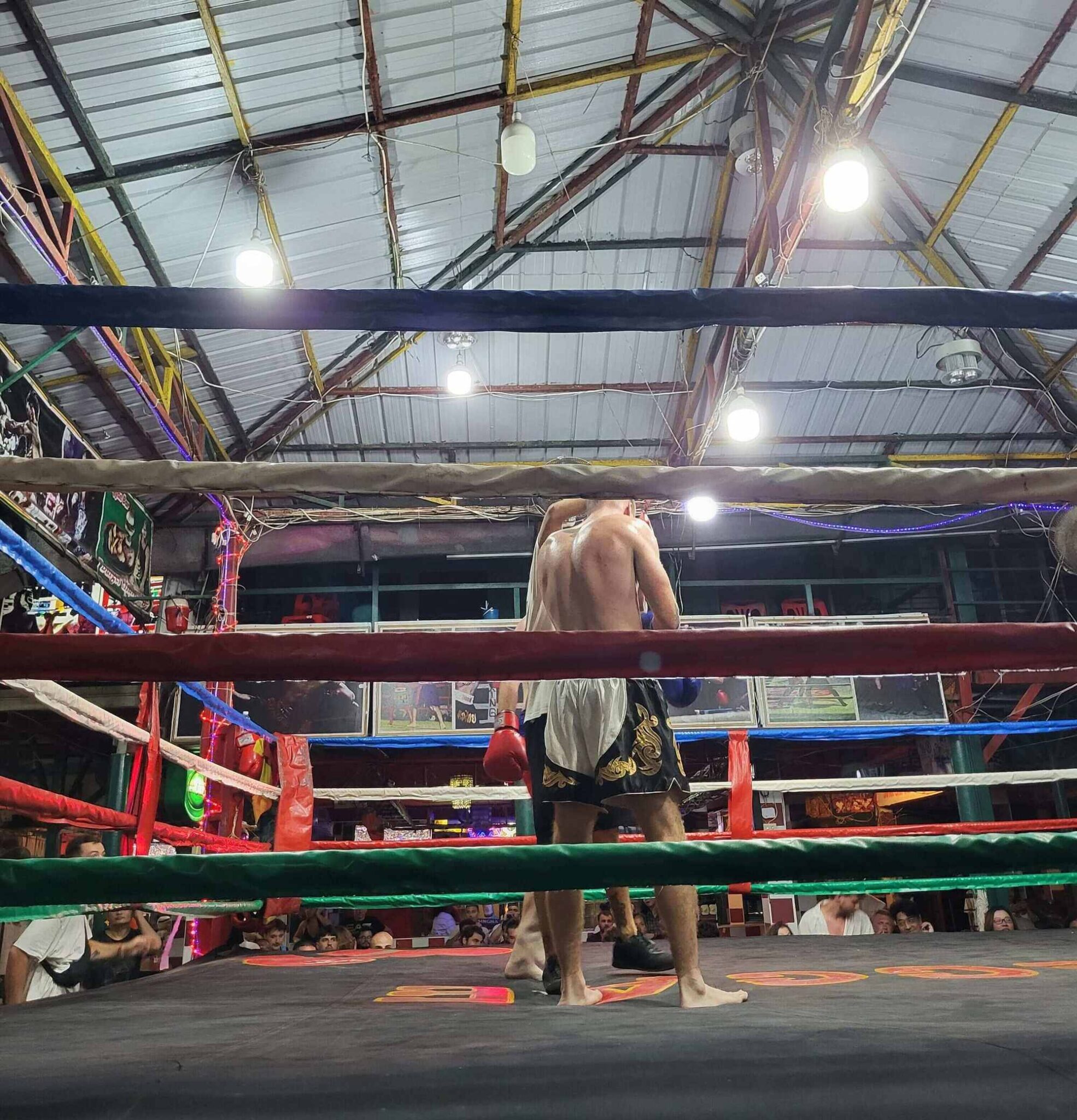 The Weirdest Bar In Thailand: The Reggae Fight Club on Phi phi Island