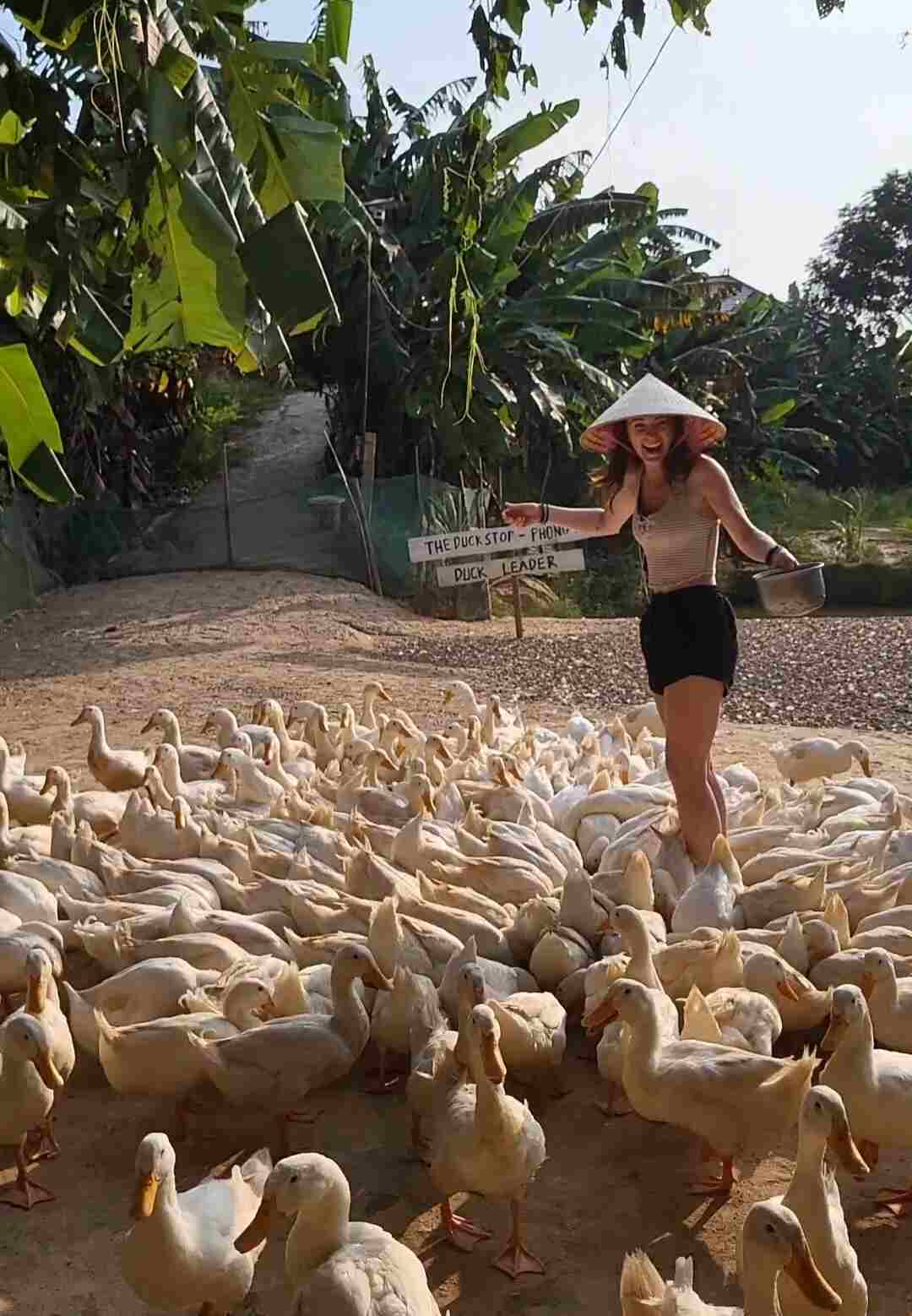 Discover the duck stop: A Unique Experience in Vietnam | Shannons landing